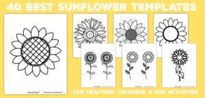 40 Best Sunflower Templates - World of Printables