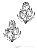 Tulip Template | 40 Free Printables To Choose From - World of Printables