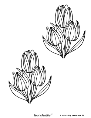 Tulip Template | 40 Best Printables To Choose From - World of Printables