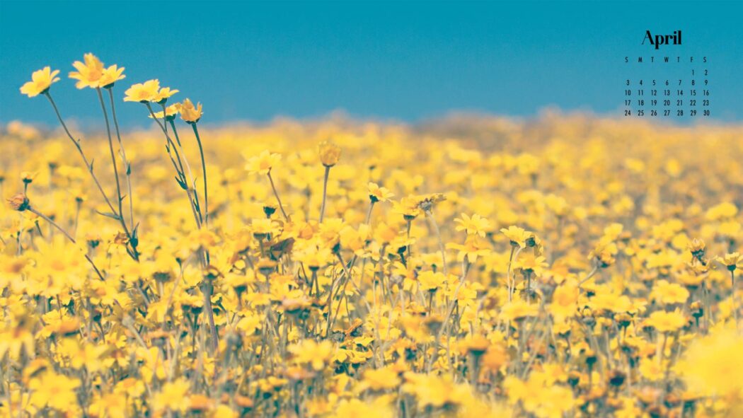April Wallpaper | 65 Best Desktop & Phone April Backgrounds