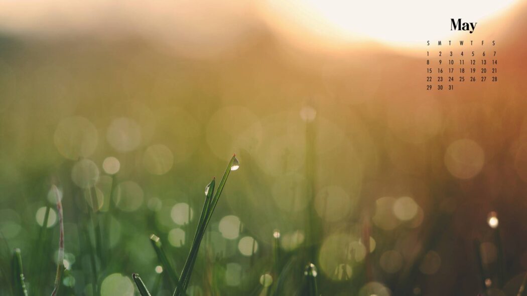 Free May 2022 Calendar Wallpaper