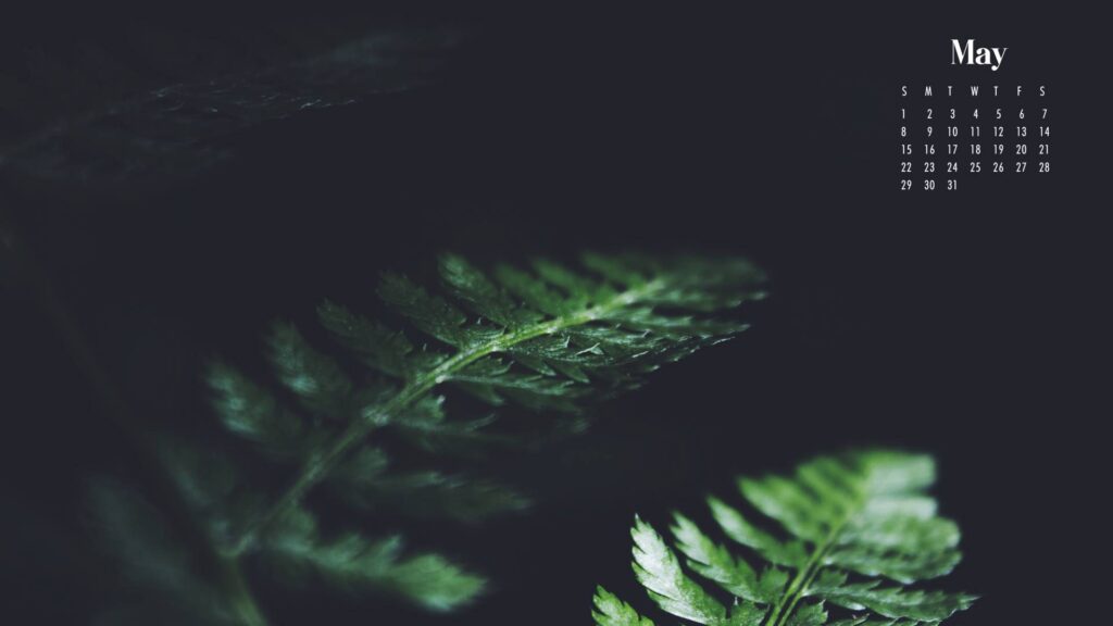 Free May 2022 Calendar Wallpaper