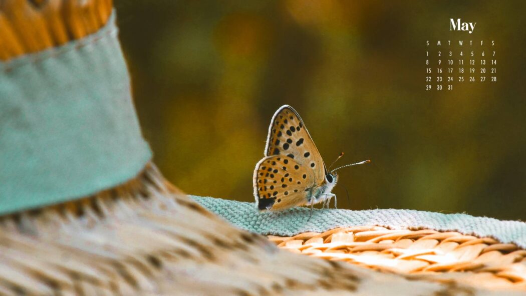 Free May 2022 Calendar Wallpaper