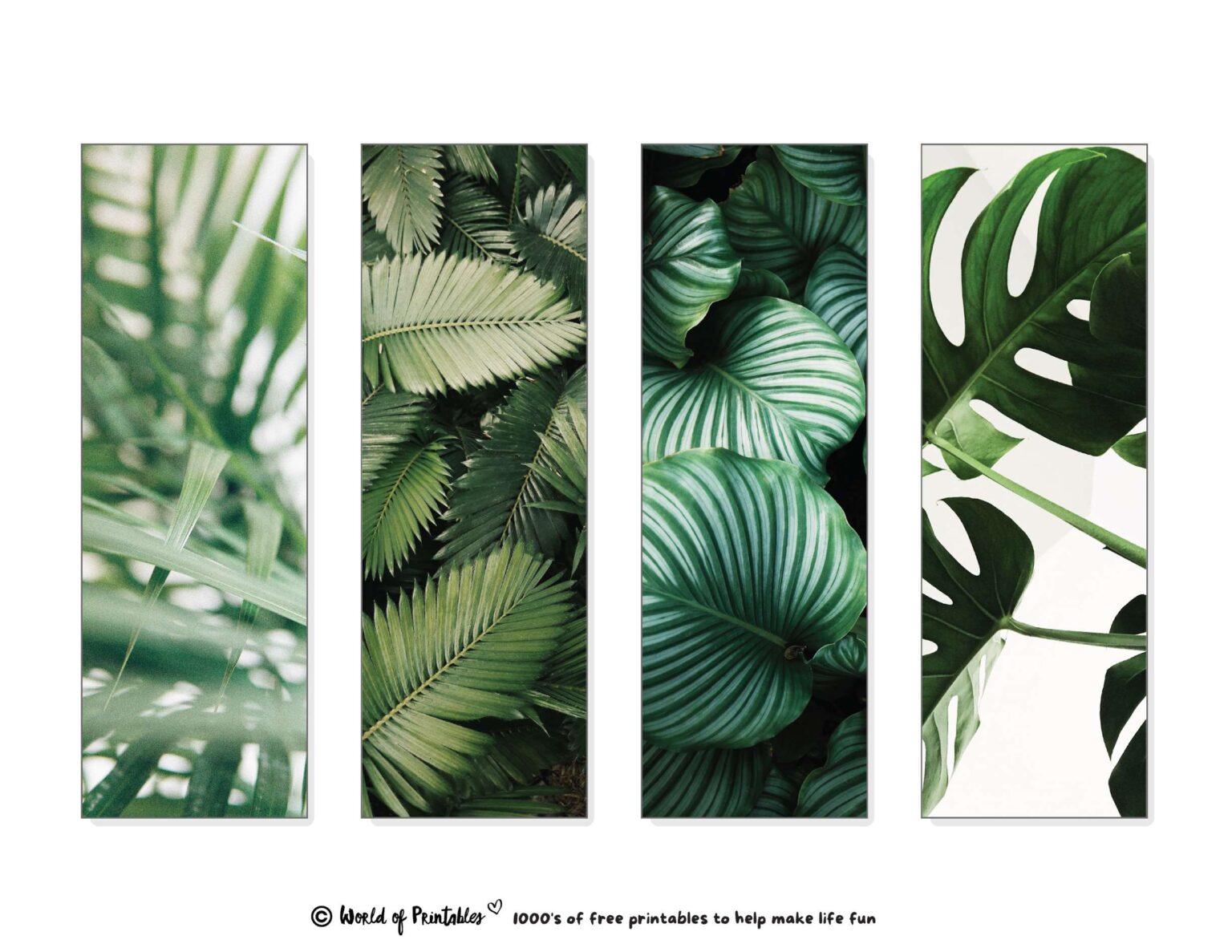 Aesthetic Bookmarks | 120+ Beautiful Styles For Free - World of Printables