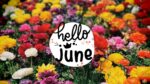 Hello June | 80 Beautiful Wallpapers & Ideas For June Vibes
