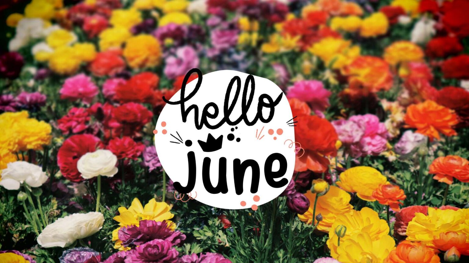 Hello June | 36 Beautiful Wallpapers & Ideas For June Vibes