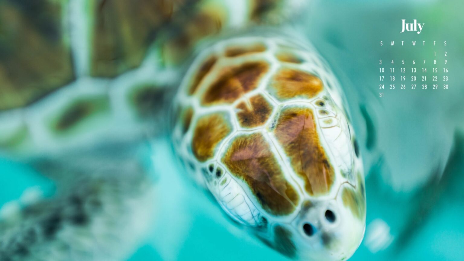 July Calendar Wallpaper - 80 Best Styles For Your Desktop Or Phone ...