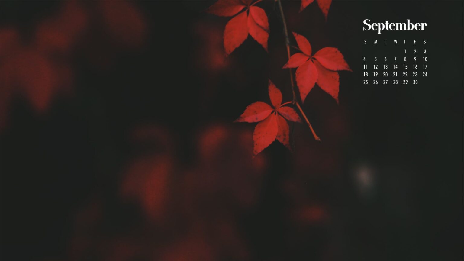 September Calendar Wallpaper - 38 Best Desktop & Phone Backgrounds