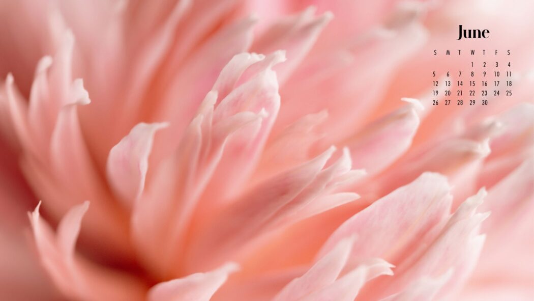 Free June 2022 Calendar Wallpaper