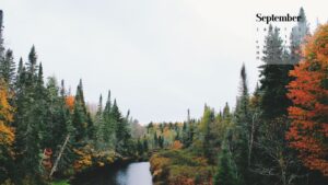 September Calendar Wallpaper - 38 Best Desktop & Phone Backgrounds