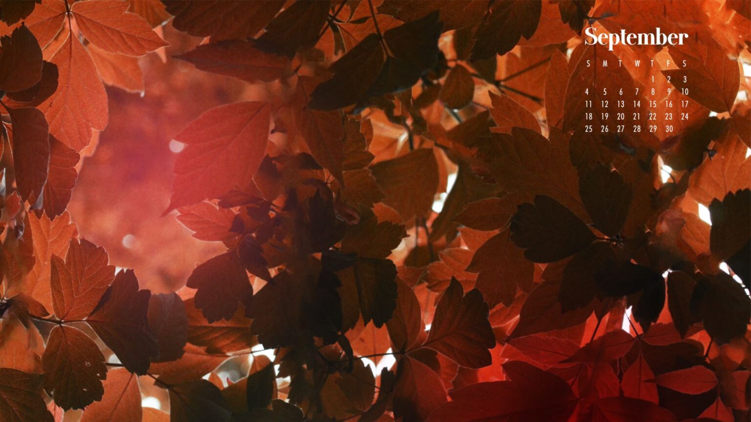 September Calendar Wallpaper - 38 Best Desktop & Phone Backgrounds