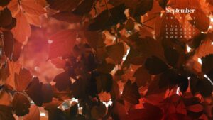 September Calendar Wallpaper - 38 Best Desktop & Phone Backgrounds