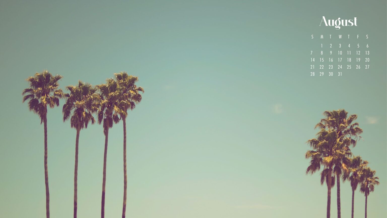 August Calendar Wallpaper - 45 Best Desktop & Phone Backgrounds