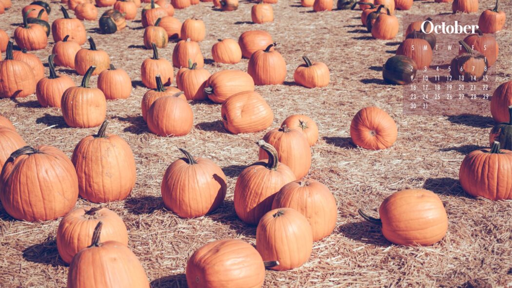 October Calendar Wallpaper | 56 Best Desktop & Phone Backgrounds