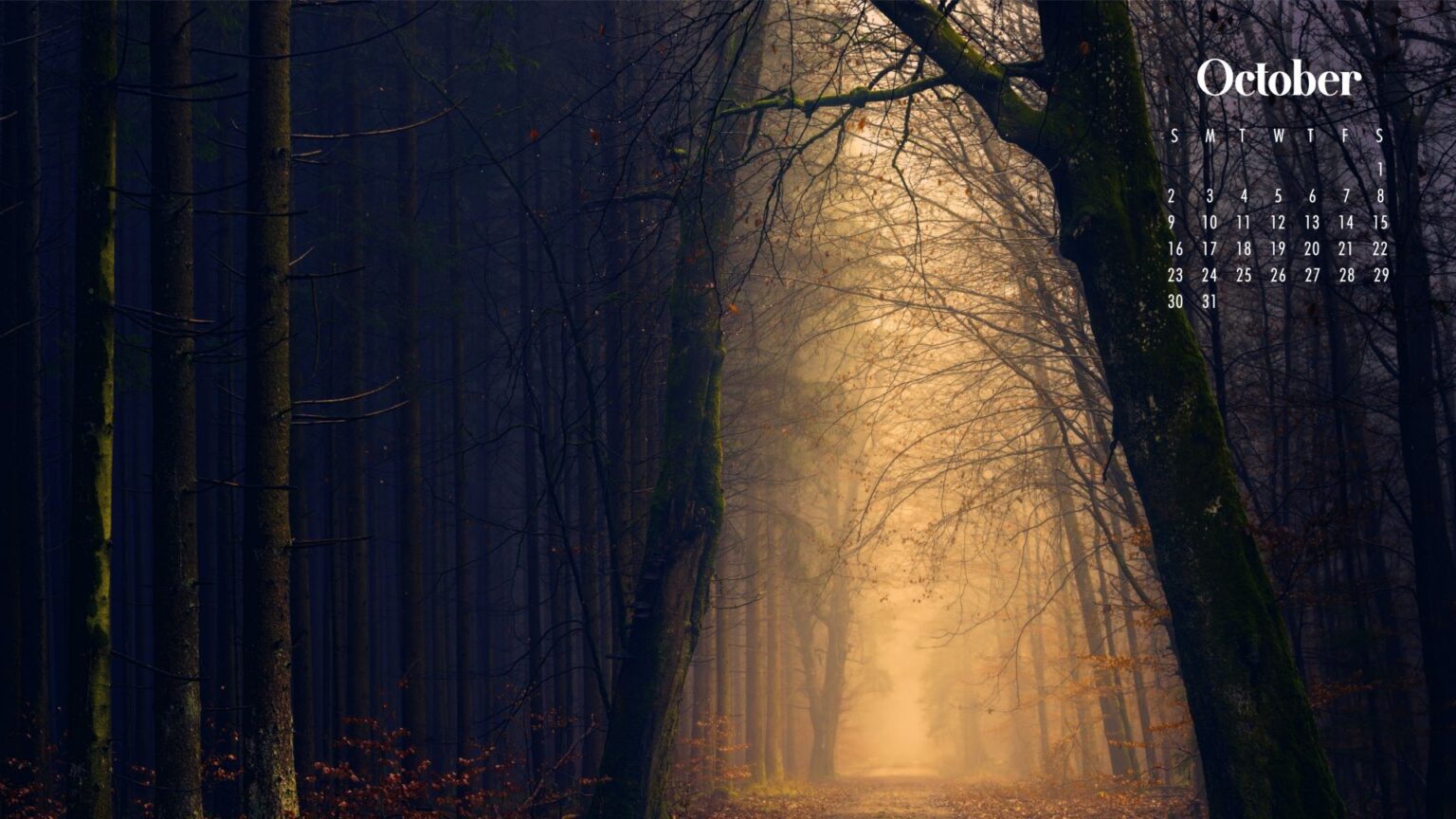 October Calendar Wallpaper | 56 Best Desktop & Phone Backgrounds