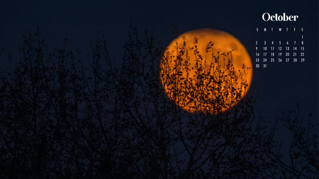 October Calendar Wallpaper | 56 Best Desktop & Phone Backgrounds