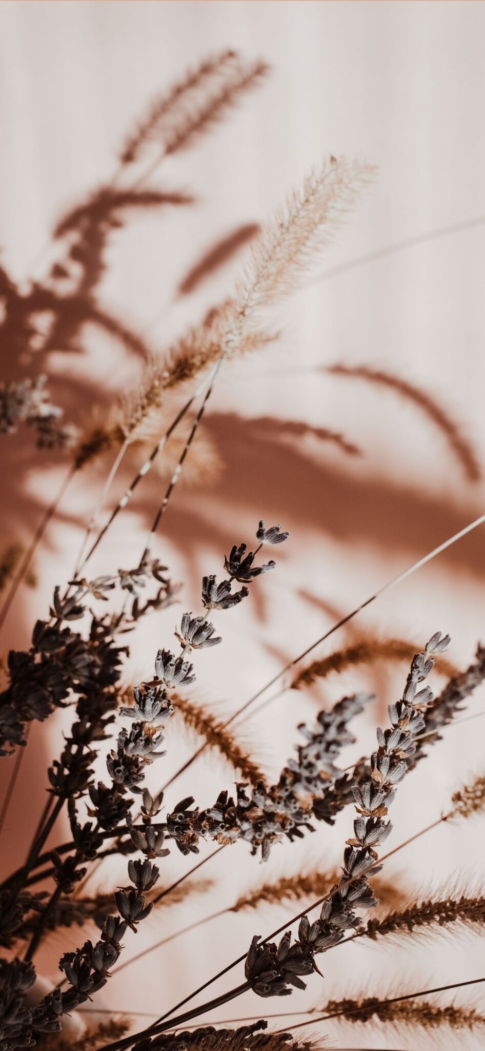 Beige Aesthetic Wallpaper | 70+ Pretty Styles