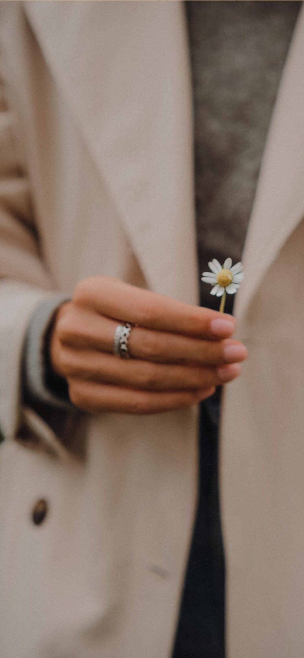 Beige Aesthetic Wallpaper | 70+ Pretty Styles