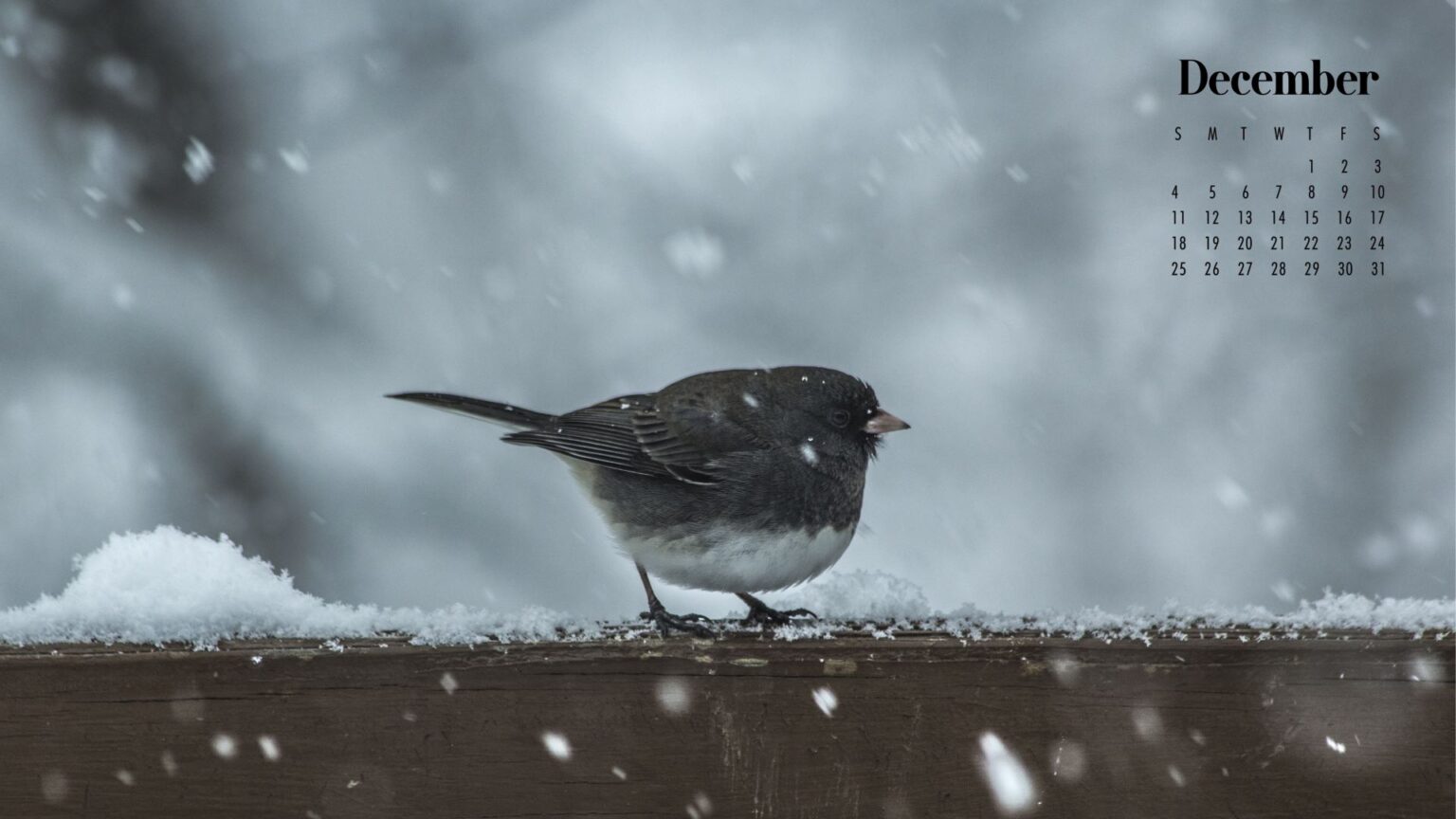 December Calendar Wallpaper | 53 Best Desktop & Phone Backgrounds