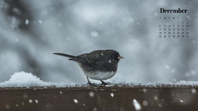 December Calendar Wallpaper | 53 Best Desktop & Phone Backgrounds