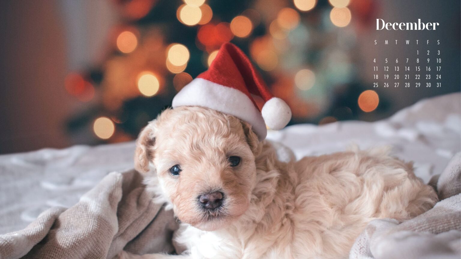 December Calendar Wallpaper | 53 Best Desktop & Phone Backgrounds