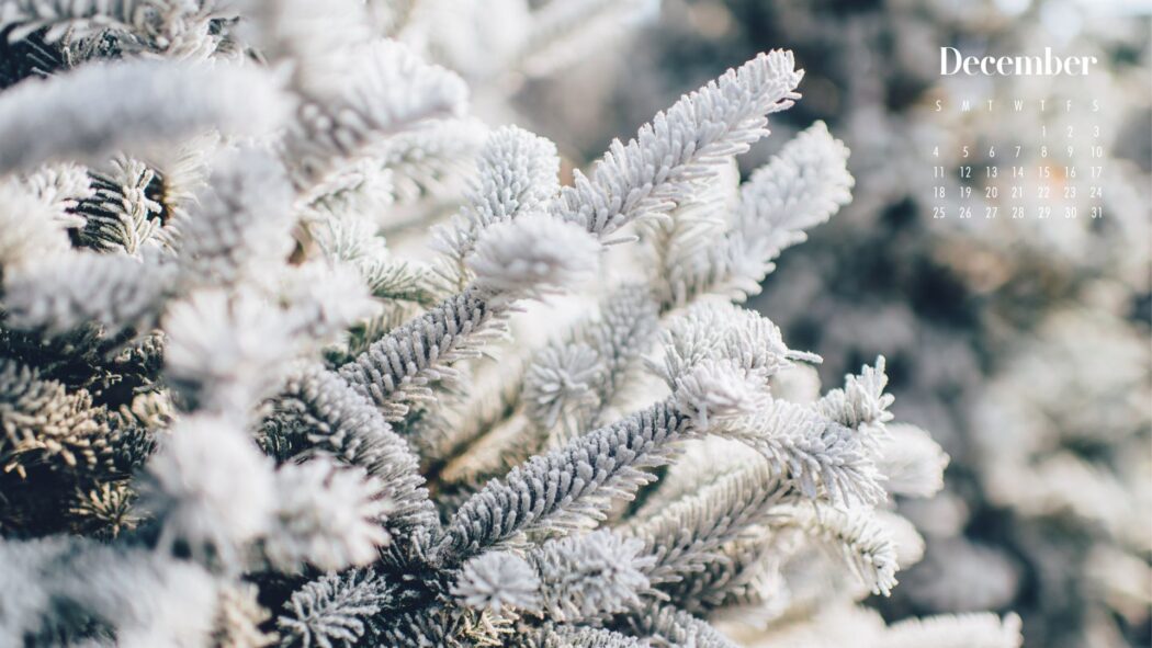 December Calendar Wallpaper | 53 Best Desktop & Phone Backgrounds