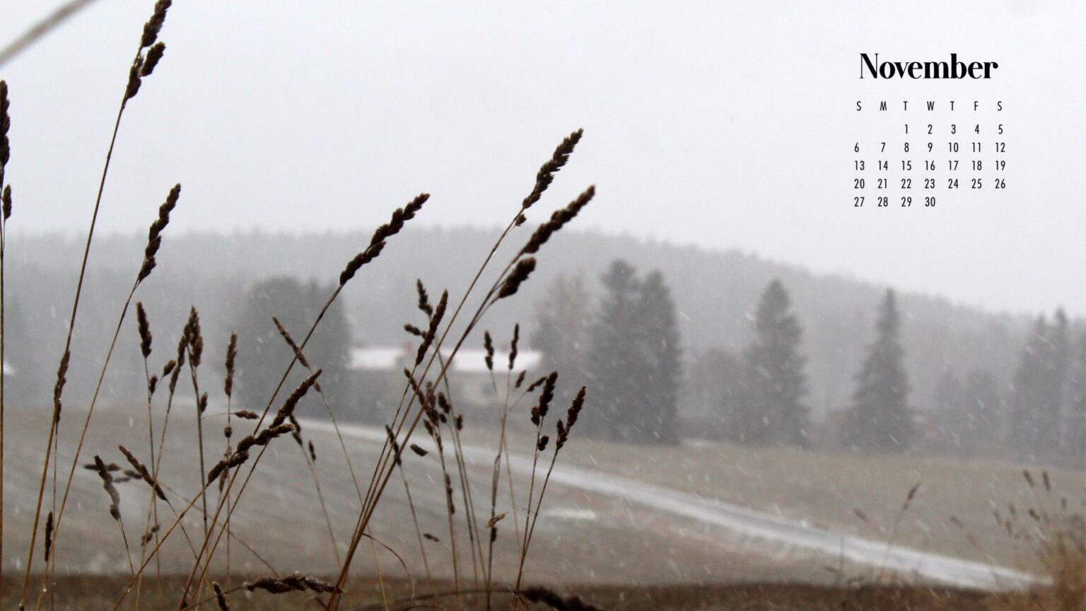 November Calendar Wallpaper | 55 Best Desktop & Phone Backgrounds