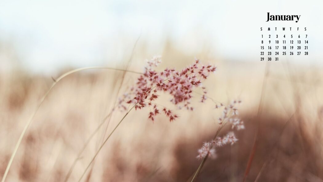 January Wallpaper | 60 Best Desktop & Phone Backgrounds - World of ...