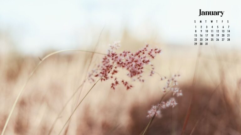 January Wallpaper | 60 Best Desktop & Phone Backgrounds - World of ...