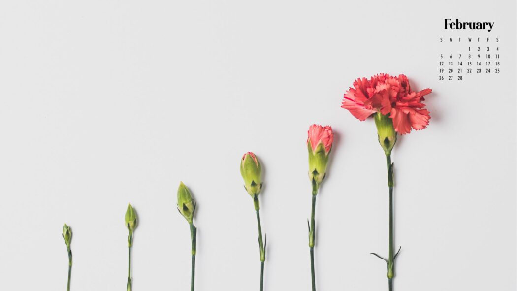 February Calendar Wallpaper | 90+ Best Desktop & Phone Backgrounds