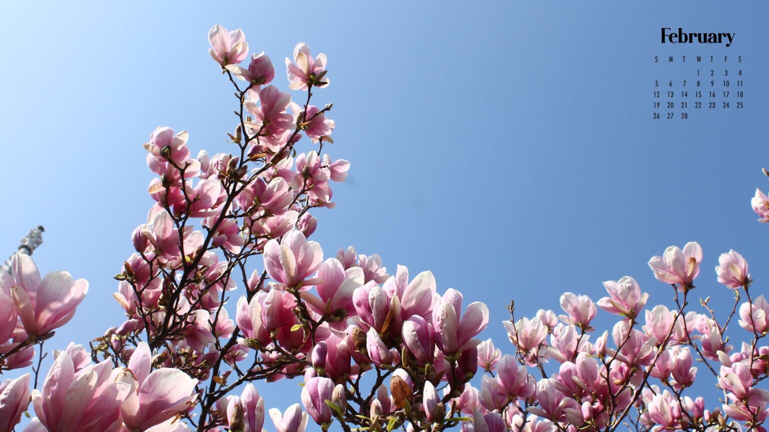 February Calendar Wallpaper | 90+ Best Desktop & Phone Backgrounds