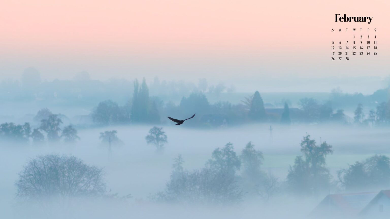 February Calendar Wallpaper | 90+ Best Desktop & Phone Backgrounds