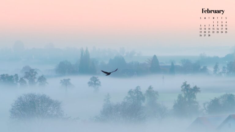 February Calendar Wallpaper | 90+ Best Desktop & Phone Backgrounds