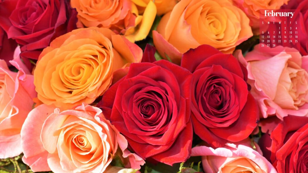 February Calendar Wallpaper | 90+ Best Desktop & Phone Backgrounds