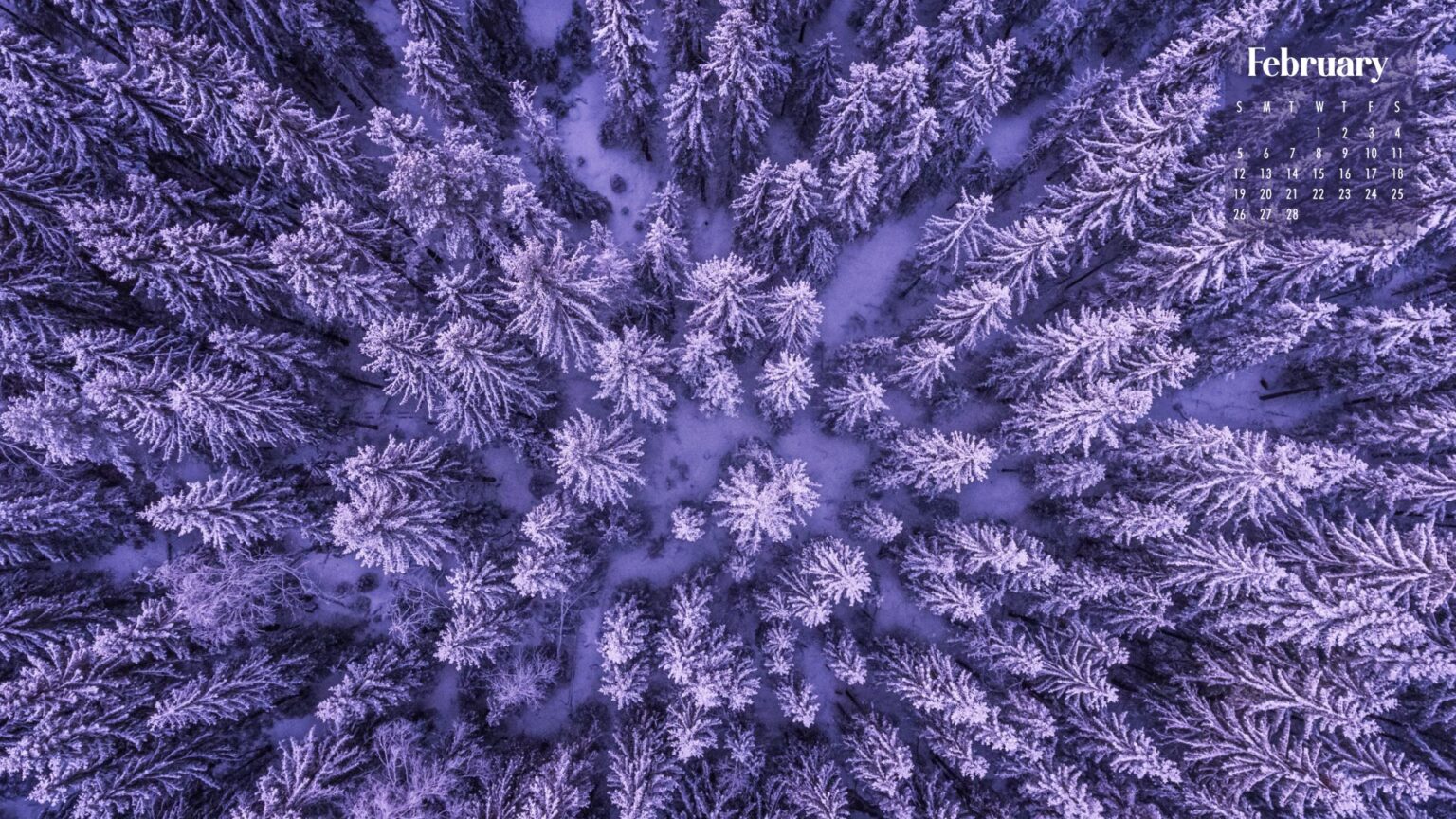 February Calendar Wallpaper | 90+ Best Desktop & Phone Backgrounds