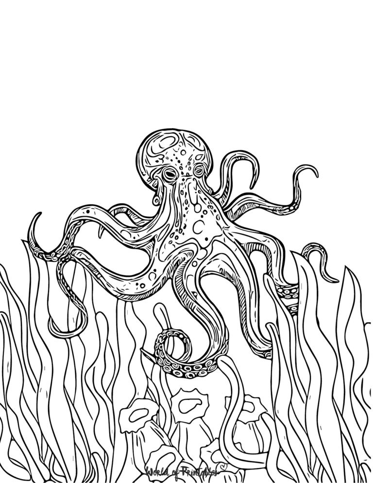 Octopus Coloring Pages - World of Printables