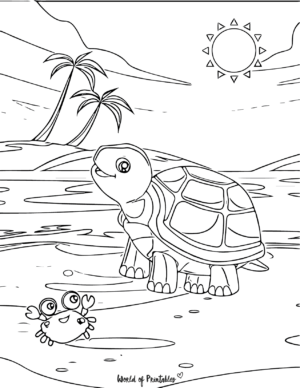 Turtle Coloring Pages - World of Printables
