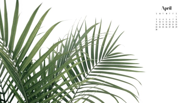 April Wallpaper | 65 Best Desktop & Phone April Backgrounds