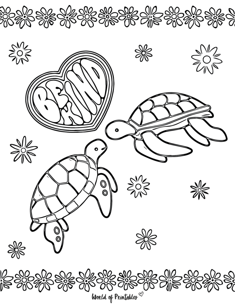 Turtle Coloring Pages - World of Printables