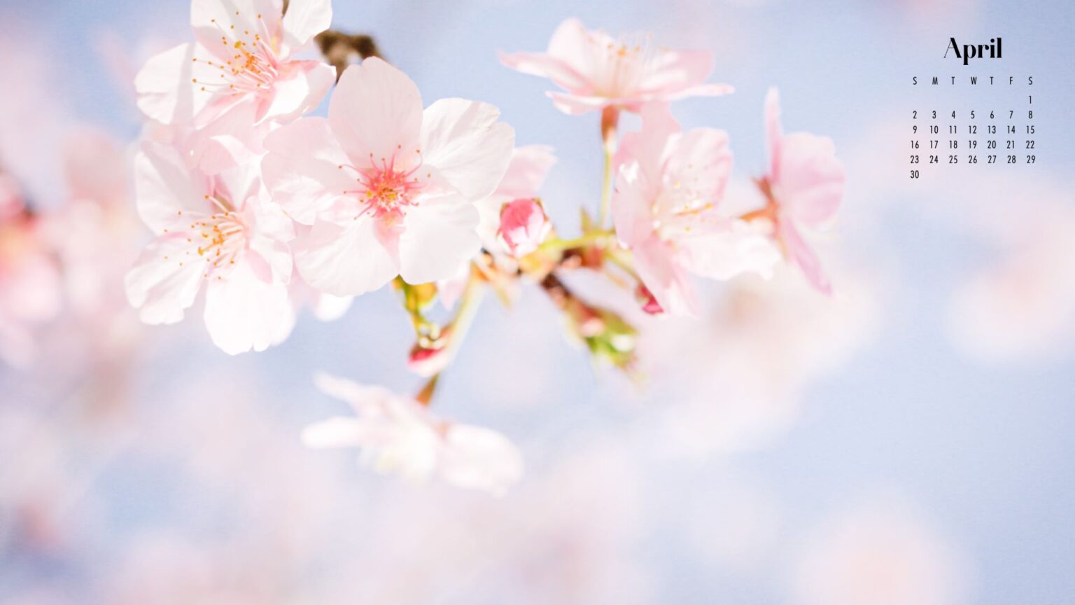 April Wallpaper | 65 Best Desktop & Phone April Backgrounds