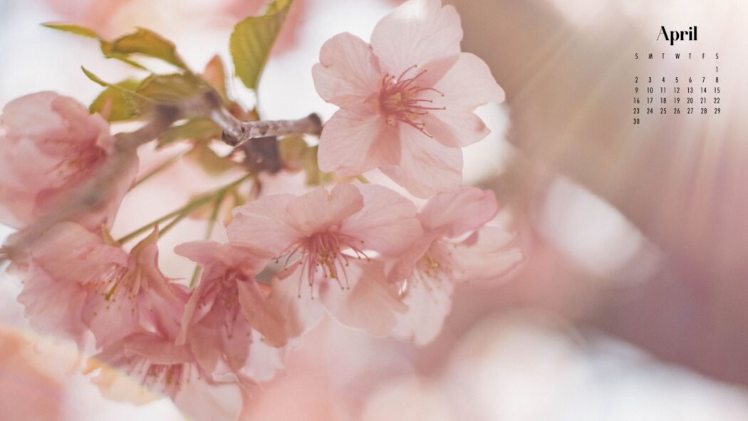 April Wallpaper | 65 Best Desktop & Phone April Backgrounds
