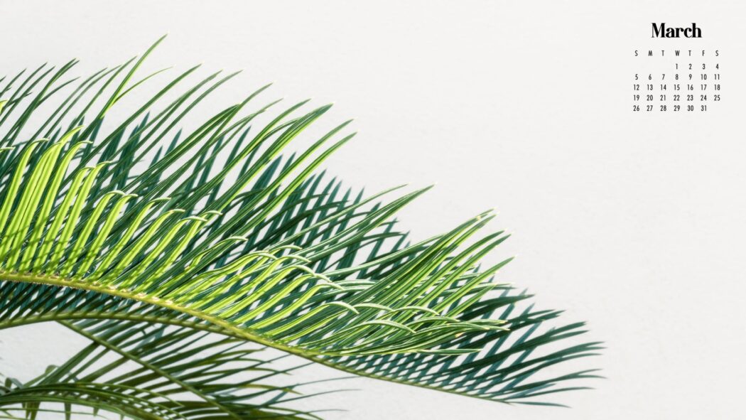 March Wallpaper | 90+ Best Desktop & Phone March Backgrounds
