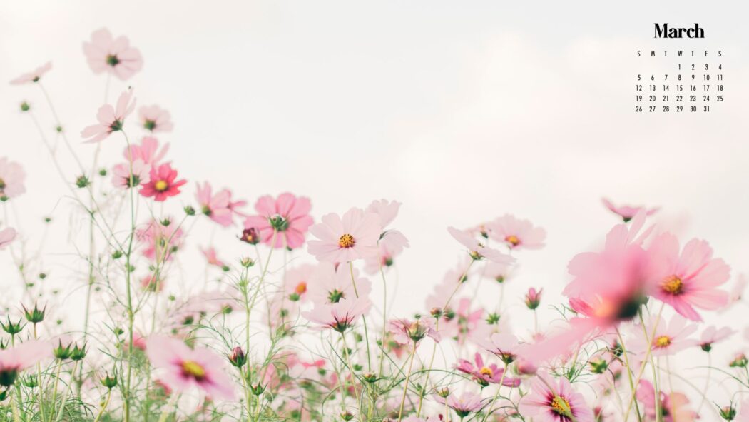 March Wallpaper | 90+ Best Desktop & Phone March Backgrounds