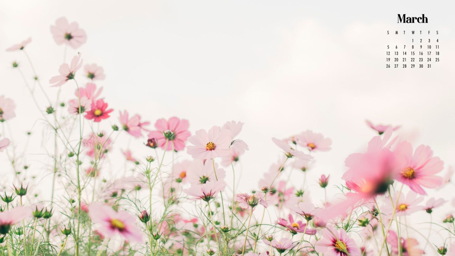 March Wallpaper | 90+ Best Desktop & Phone March Backgrounds