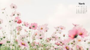 March Wallpaper | 90+ Best Desktop & Phone March Backgrounds