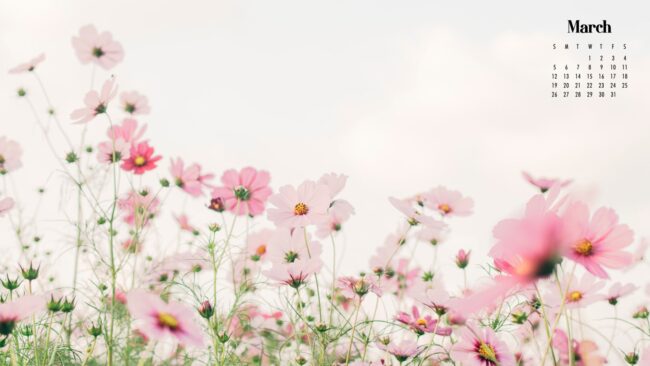 March Wallpaper | 90+ Best Desktop & Phone March Backgrounds