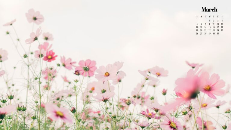 March Wallpaper | 90+ Best Desktop & Phone March Backgrounds