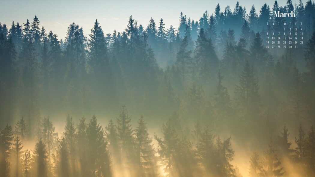 March Wallpaper | 90+ Best Desktop & Phone March Backgrounds