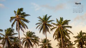 March Wallpaper | 90+ Best Desktop & Phone March Backgrounds