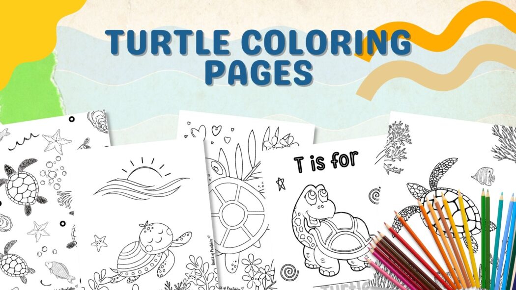 Turtle Coloring Pages - World of Printables
